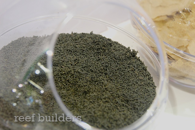 Stop overfeeding your fish to reduce nutrients and prevent fat fish ...