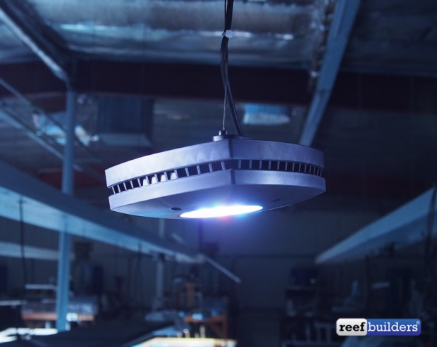 The AI Prime makes one awesome accent LED light | Reef Builders | The ...