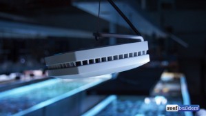 The AI Prime makes one awesome accent LED light | Reef Builders | The ...