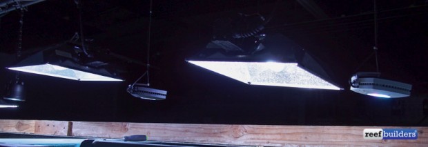 The AI Prime makes one awesome accent LED light | Reef Builders | The ...