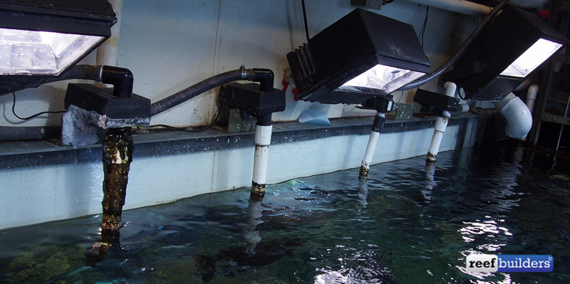 How do you create flow in a 20,000 gallon reef tank? | Reef Builders ...