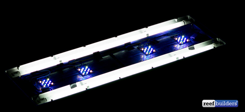 NanoBox Reef’s hybrid T5 & LED light is ready to class up your coral ...