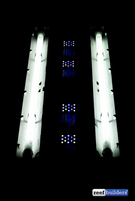 NanoBox Reef’s hybrid T5 & LED light is ready to class up your coral ...
