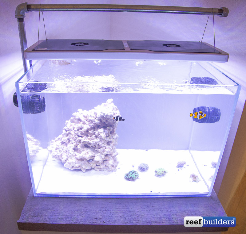 NanoBox Reef’s hybrid T5 & LED light is ready to class up your coral ...
