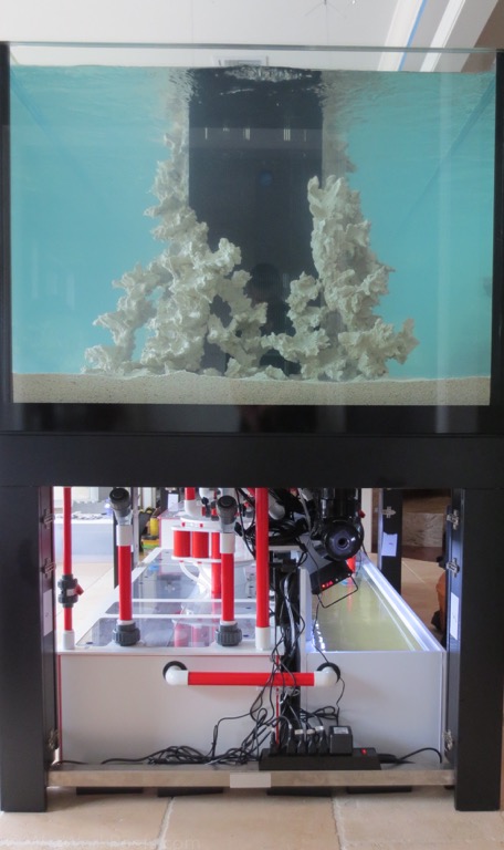 The super high end tank build of Reef 924, part 2 | Reef Builders | The ...
