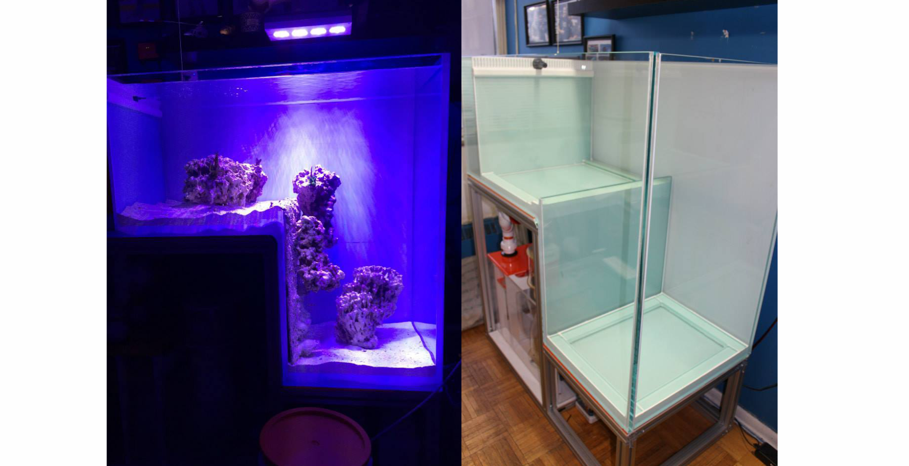 Primo Reef pushing the boundaries with extreme drop off tank | Reef ...