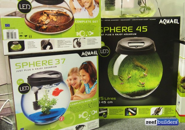 AquaEl Sphere and Luna Aquariums are primed for creative displays ...