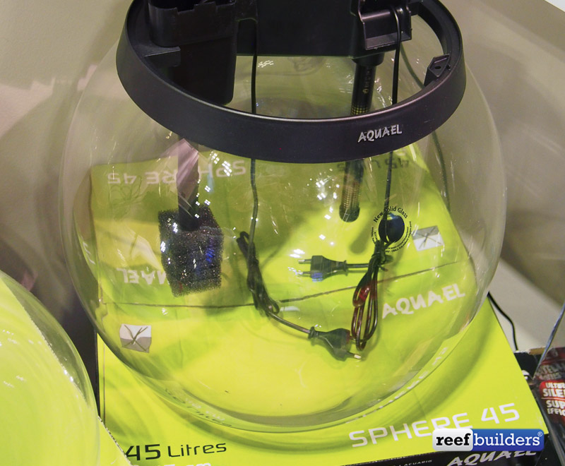 AquaEl Sphere and Luna Aquariums are primed for creative displays ...