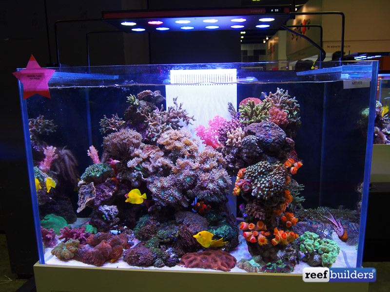 The beautiful entries of this year’s Aquarama reef aquascaping competition | Reef Builders | The ...