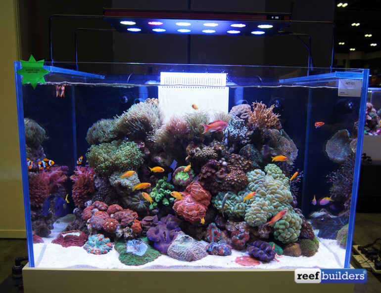 The beautiful entries of this year’s Aquarama reef aquascaping competition | Reef Builders | The ...