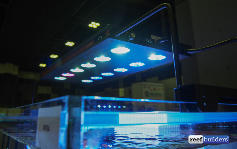 The beautiful entries of this year’s Aquarama reef aquascaping competition | Reef Builders | The ...