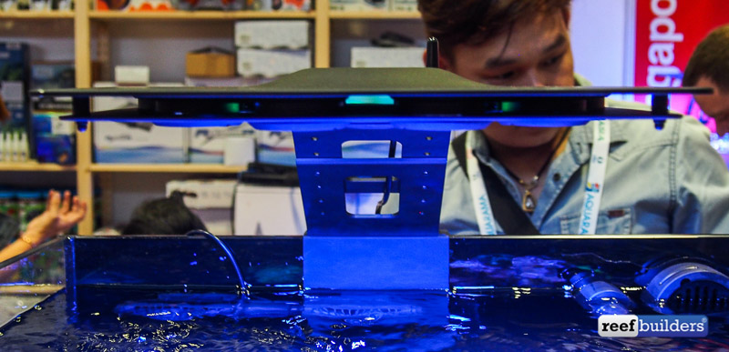 The new Ethereal LED is gorgeous on its own | Reef Builders | The Reef ...