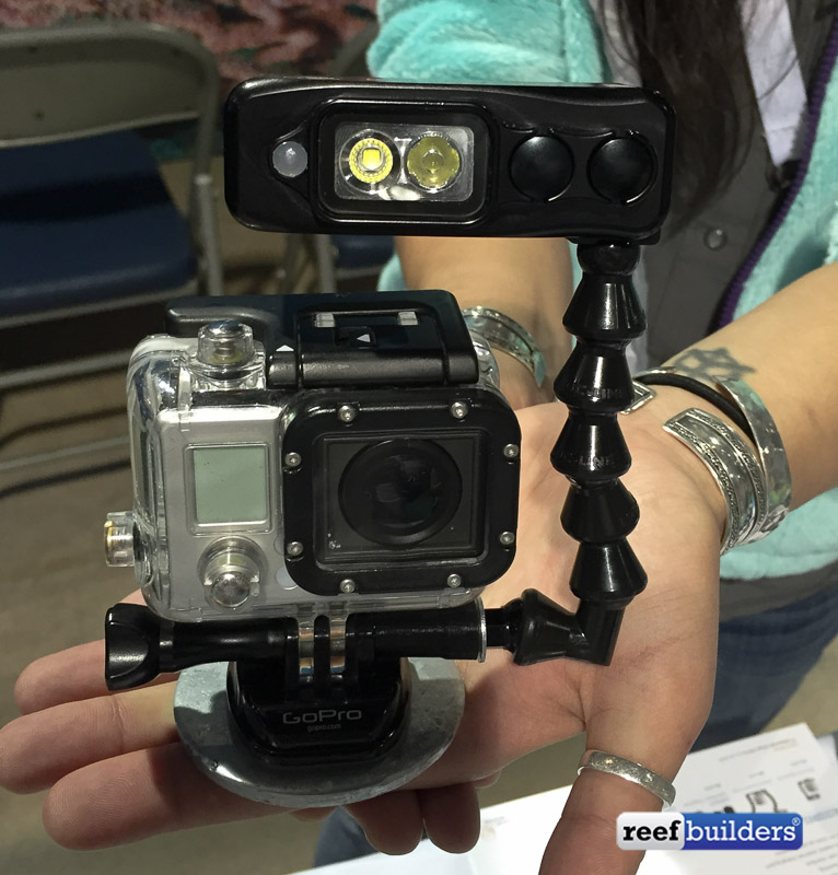 New GoPro Sidekick underwater LED light from Light & Motion | Reef ...