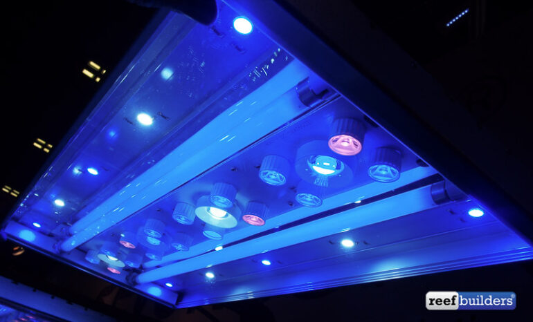 Qian Hu’s RevoReef LED + T5 lighting system really has a lot of ...