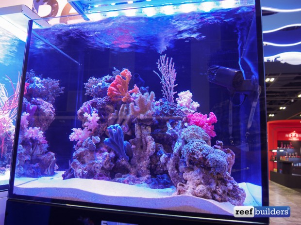 Qian Hu’s RevoReef LED + T5 lighting system really has a lot of ...