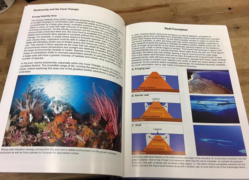 Marine Life and Natural History of the Coral Triangle | Reef Builders ...