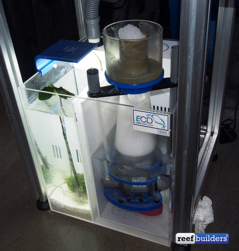Eshopps Cube sump is more turbo than nano | Reef Builders | The Reef ...