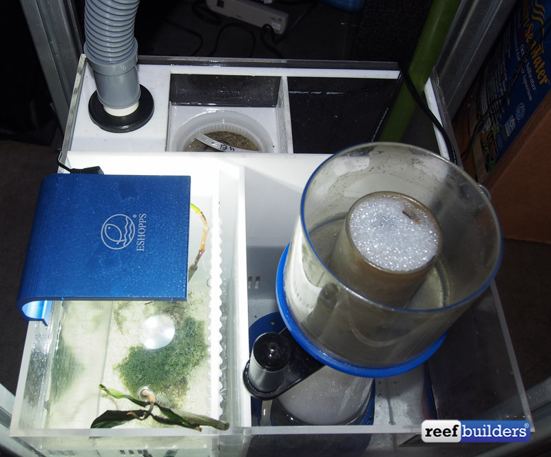 Eshopps Cube sump is more turbo than nano | Reef Builders | The Reef ...