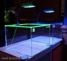 We can’t get enough of Synergy Reef’s fluorescent acrylic sumps | Reef ...