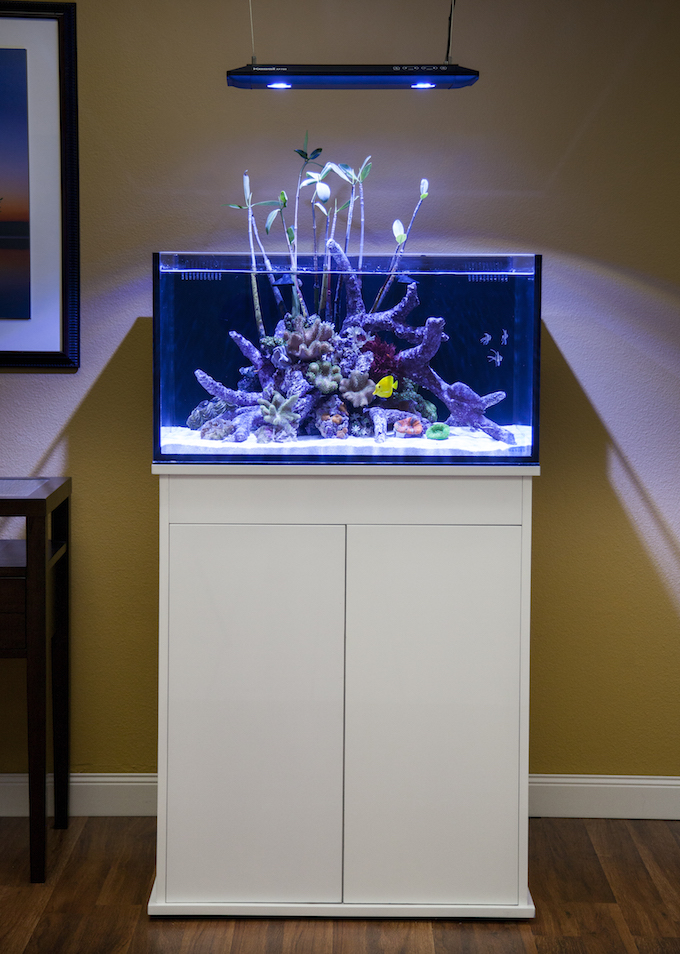 New Fusion Lagoons tanks in two sizes from Innovative Marine | Reef ...