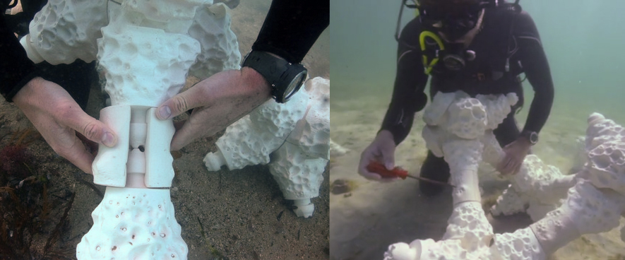 A closer look at the design and applications of Modular Artificial Reef ...