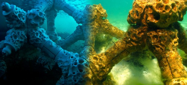 A closer look at the design and applications of Modular Artificial Reef ...