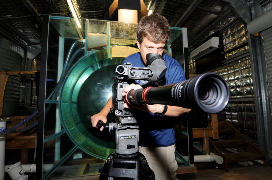 An insight into documentary film making with Richard Fitzpatrick | Reef ...