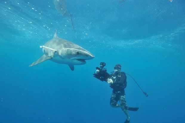 An insight into documentary film making with Richard Fitzpatrick | Reef ...