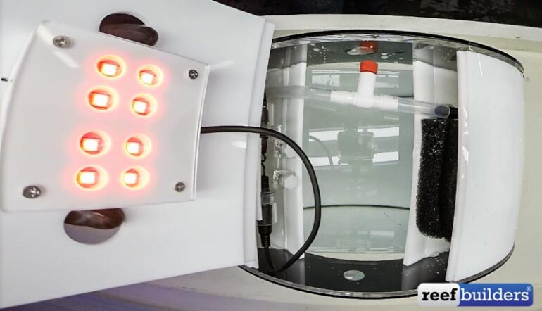 Hands on with the Cubic Orbit 20 Jellyfish tank | Reef Builders | The ...