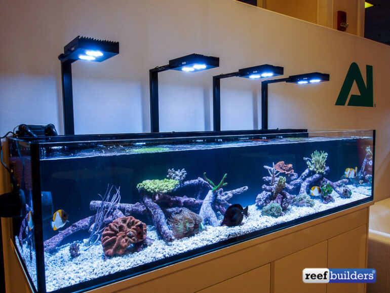 Hydra HD puts the Hydra 26 and 52 into ‘HyperDrive’ | Reef Builders ...