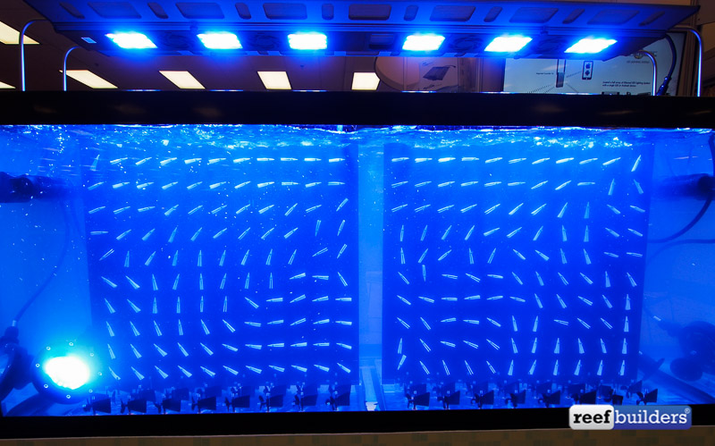 MaxSpect uses novel method to demonstrate water flow | Reef Builders ...
