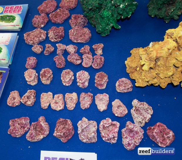 Tools for Fragging Corals | Reef Builders | The Reef and Saltwater ...