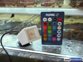 Hands on with the Fluval Prism Color Max Accent LED | Reef Builders | The Reef and Saltwater ...
