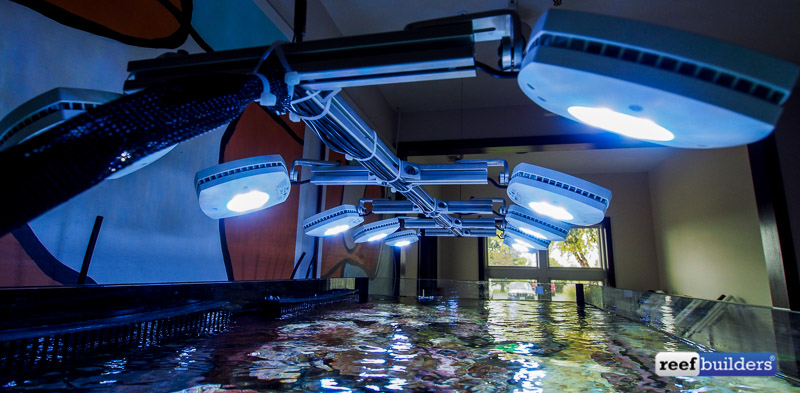 Aqua Illumination’s 10-Prime LED array for their own show tank | Reef ...