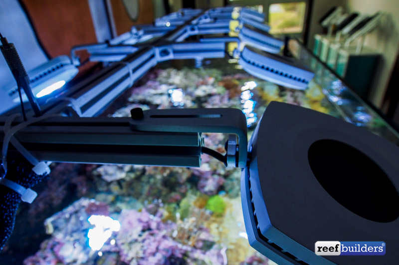 Aqua Illumination’s 10-Prime LED array for their own show tank | Reef ...