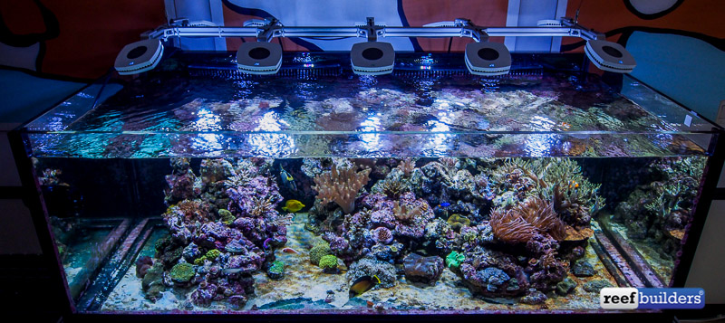 Aqua Illumination’s 10-Prime LED array for their own show tank | Reef ...