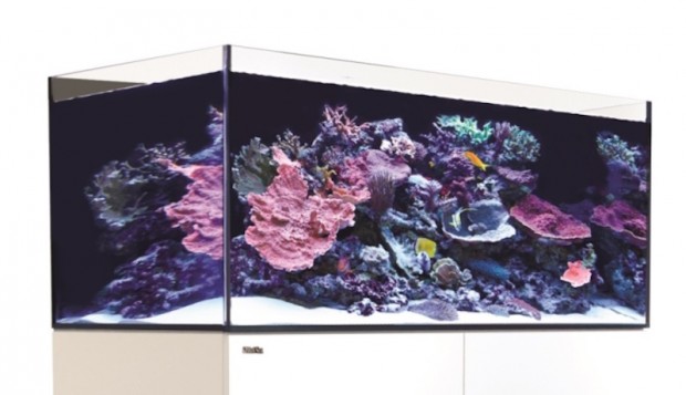 Red Sea Reefer XL just announced with wider dimension | Reef Builders ...