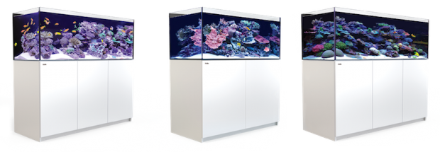 Red Sea Reefer XL just announced with wider dimension | Reef Builders ...