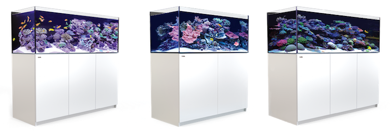 Red Sea Reefer XL just announced with wider dimension | Reef Builders ...