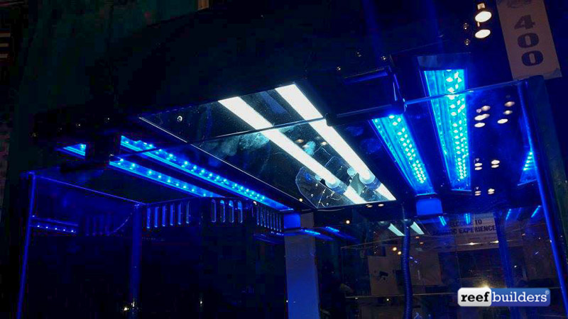 ReefBrite XHO Hybrid fixture with T5 & LED light | Reef Builders | The ...