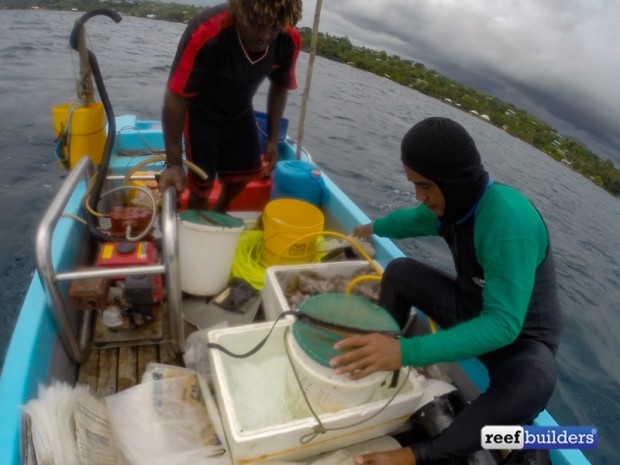 What do air compressors have to do with aquarium corals and fish ...