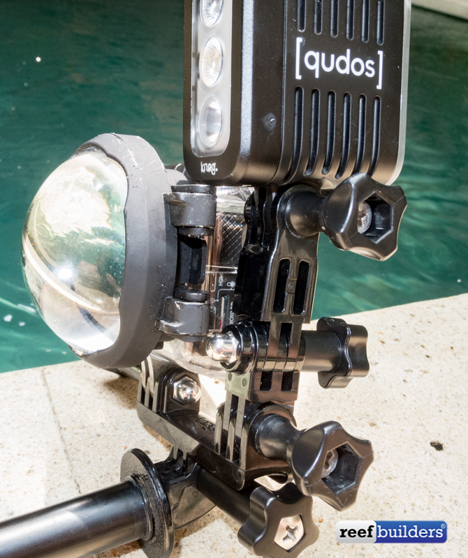 Hands on with the Qudos Action Light | Reef Builders | The Reef and ...
