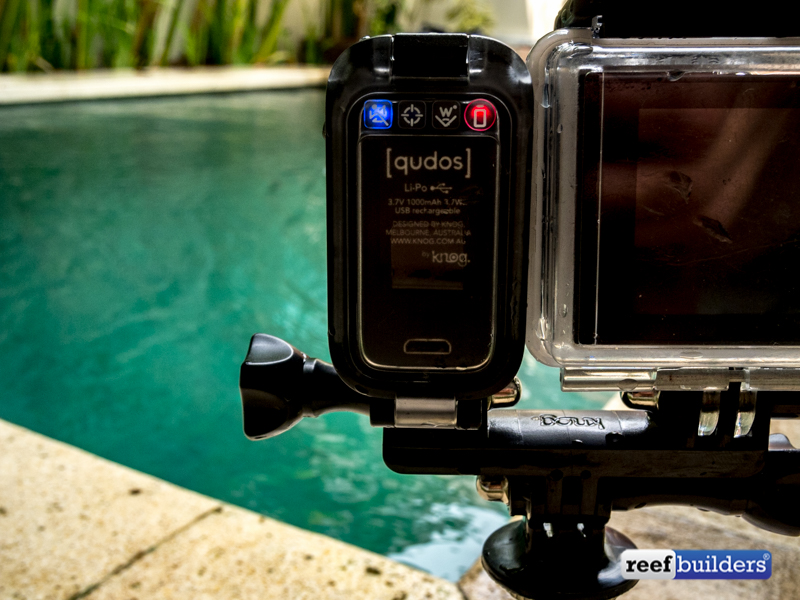 Hands on with the Qudos Action Light | Reef Builders | The Reef and ...