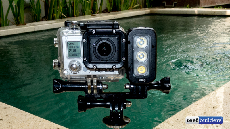 Hands on with the Qudos Action Light | Reef Builders | The Reef and ...