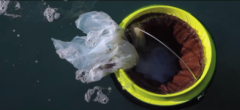 Seabin Project helps to reduce trash in ocean water | Reef Builders ...