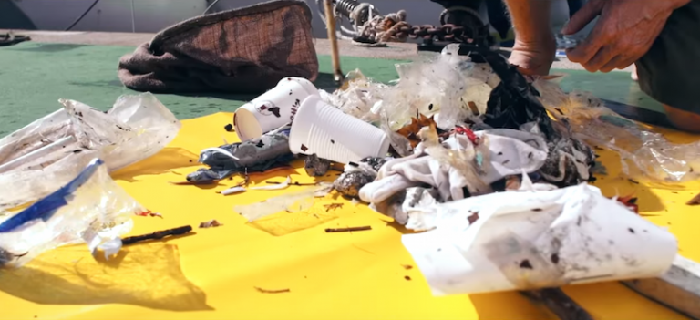 Seabin Project helps to reduce trash in ocean water | Reef Builders ...