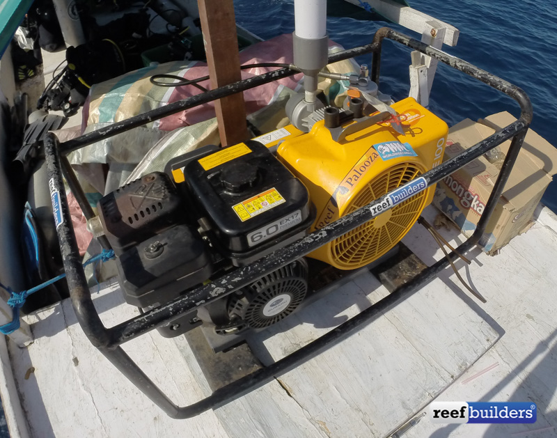 What do air compressors have to do with aquarium corals and fish ...