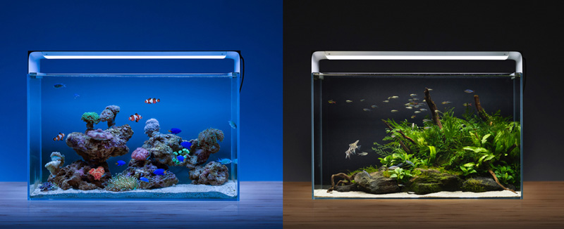 ONF Flat One LED light takes a design-first approach | Reef Builders ...