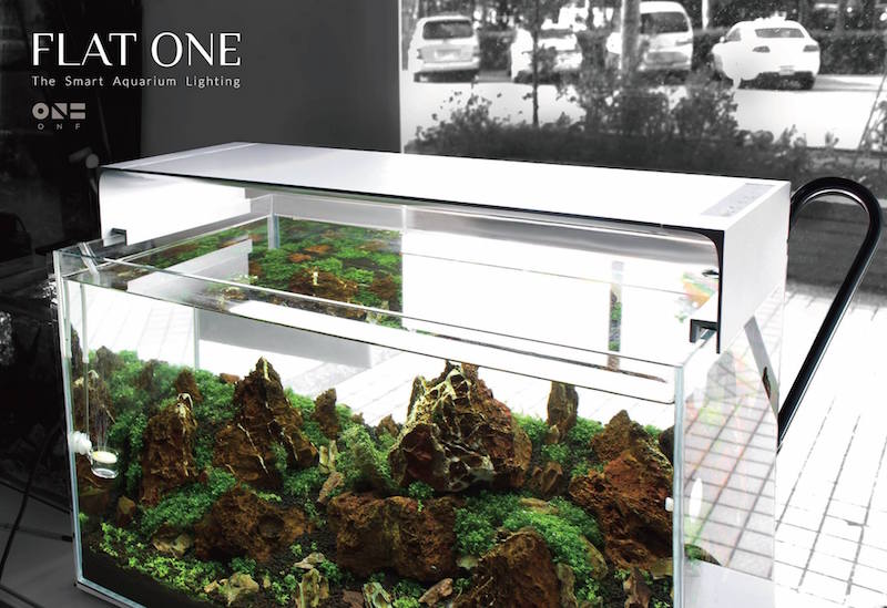 ONF Flat One LED light takes a design-first approach | Reef Builders ...