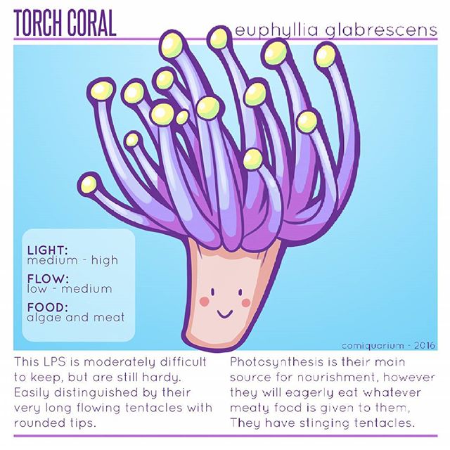 Comiquarium coral care comics are way beyond cute | Reef Builders | The ...